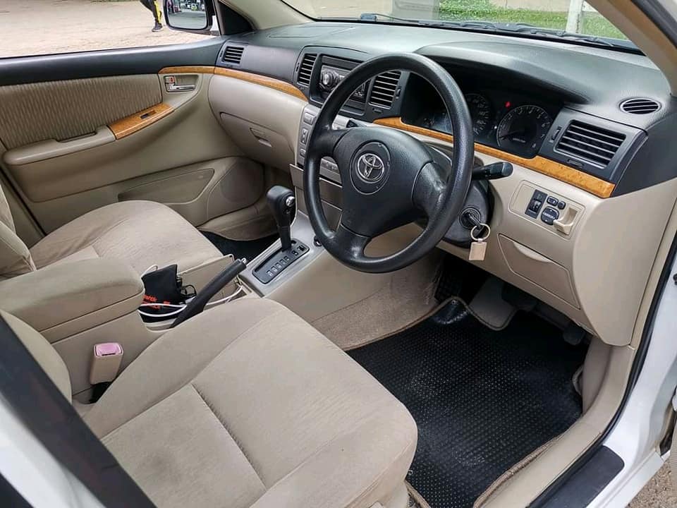 Clean White Toyota Runex Teardrop Car For Sale - SAVEMARI